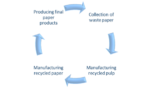 Life Cycle Of Paper: The Complete Guide - World Paper Mill